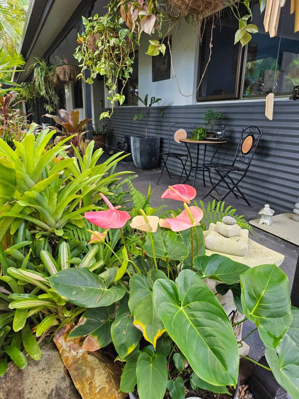 2024 Maryborough, “Serenity” 4 Kenilworth Street – Maryborough Open Gardens